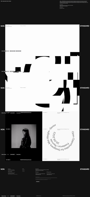 NON Standard | Admire The Web